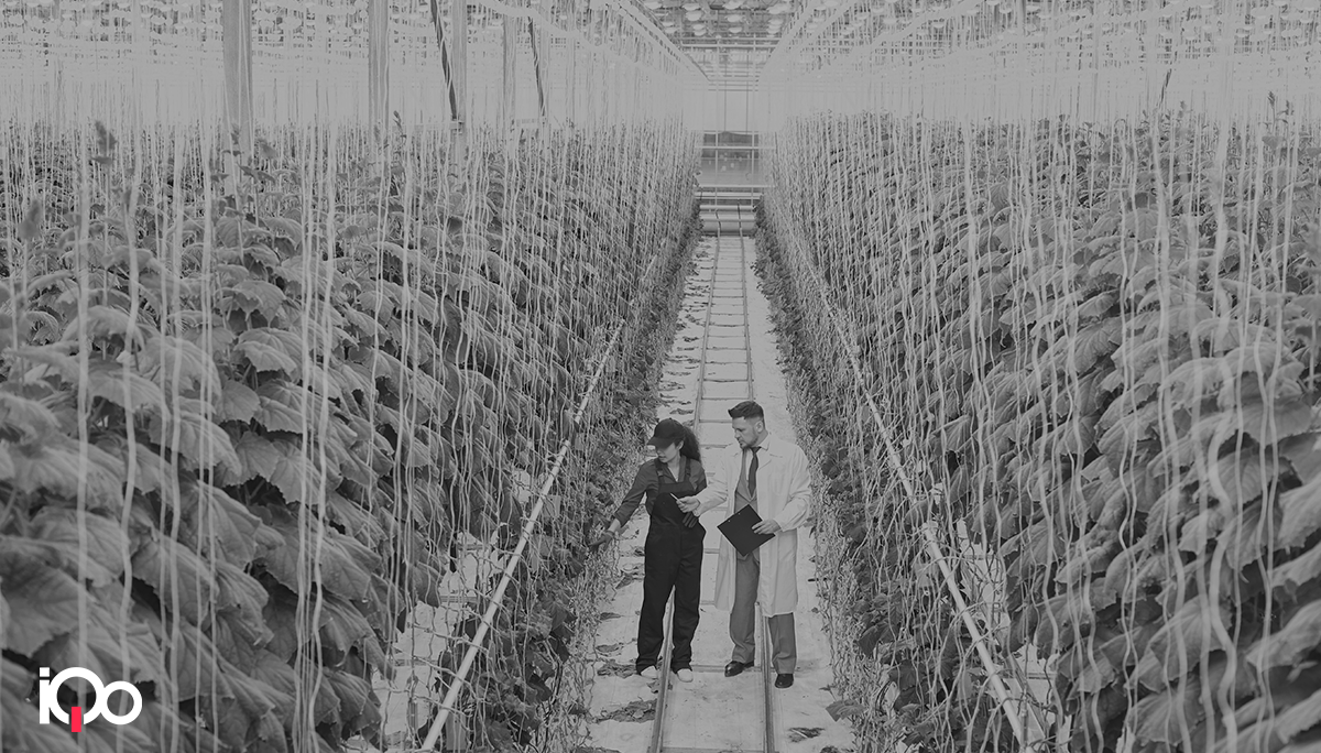 Agriconomie x iQo pour accompagner vos enjeux agri / agro - iQo